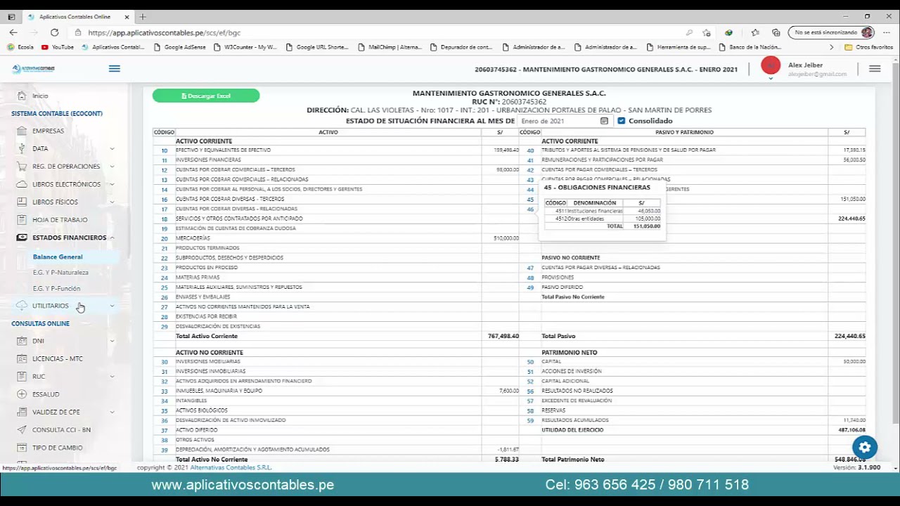 Sistema contable simplificado - ONLINE (GRATIS)