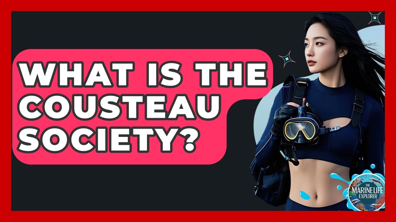 What Is The Cousteau Society? - The Marine Life Explorer