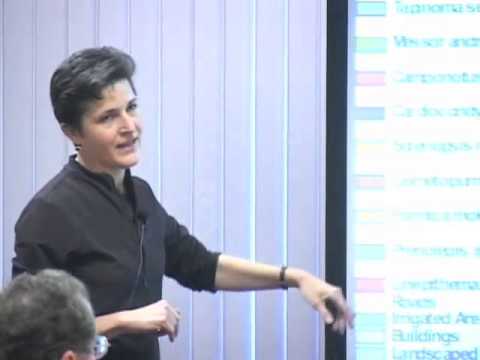 The Process of Discovery: Research as a Teaching Tool