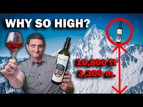 The HIGHEST WINE in the WORLD! Is it GOOD?