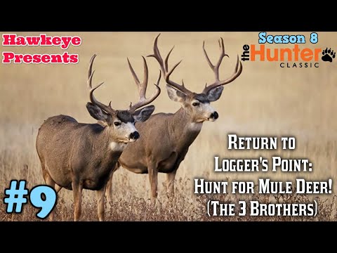 Steam Community :: Video :: theHunter Classic - Season 8 (2022 ...