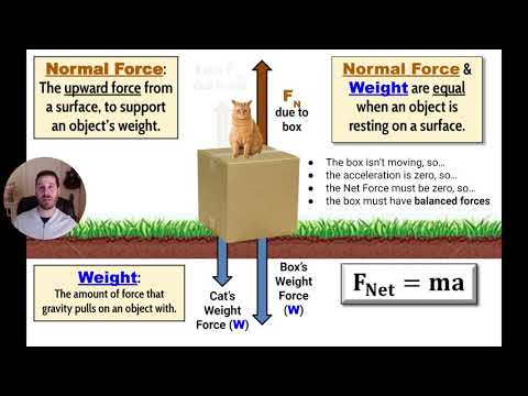 Physics Lesson - Normal Force & Tension