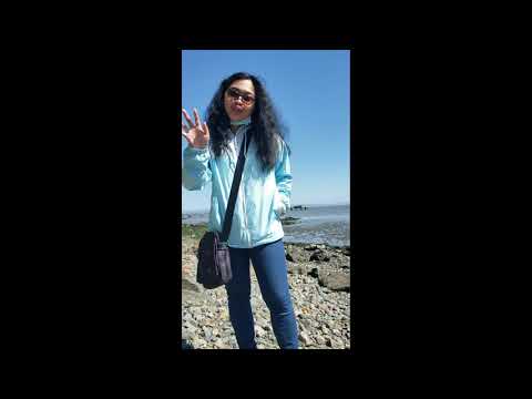 Fresh Ocean Air at McNears Beach