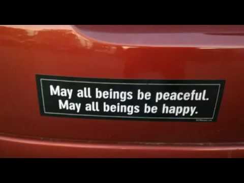 Your Bumper Stickers Don't Mean Shit If You're Not #Vegan