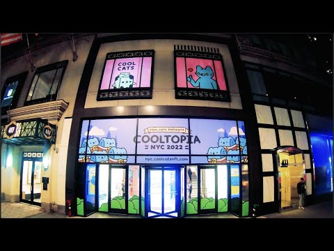 Cooltopia NYC - The FWA