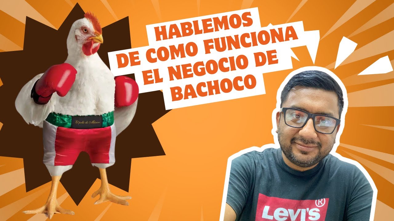 ¿Cómo funciona el negocio de Bachoco? Te lo explico