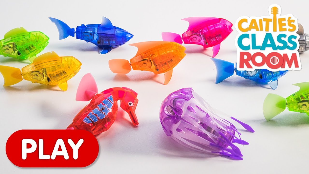Learn Colors with Amazing Robot Fish! | Caitie's Classroom