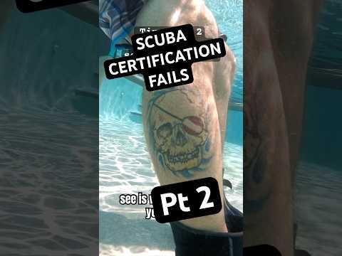 How to get Scuba Certified & become a diver 🤿✅ #scubadiving #dive #scubacourses