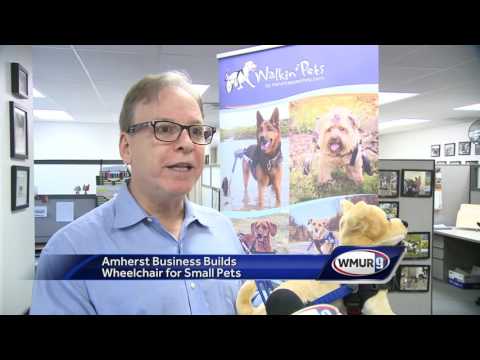 Amherst business builds wheelchair for small pets