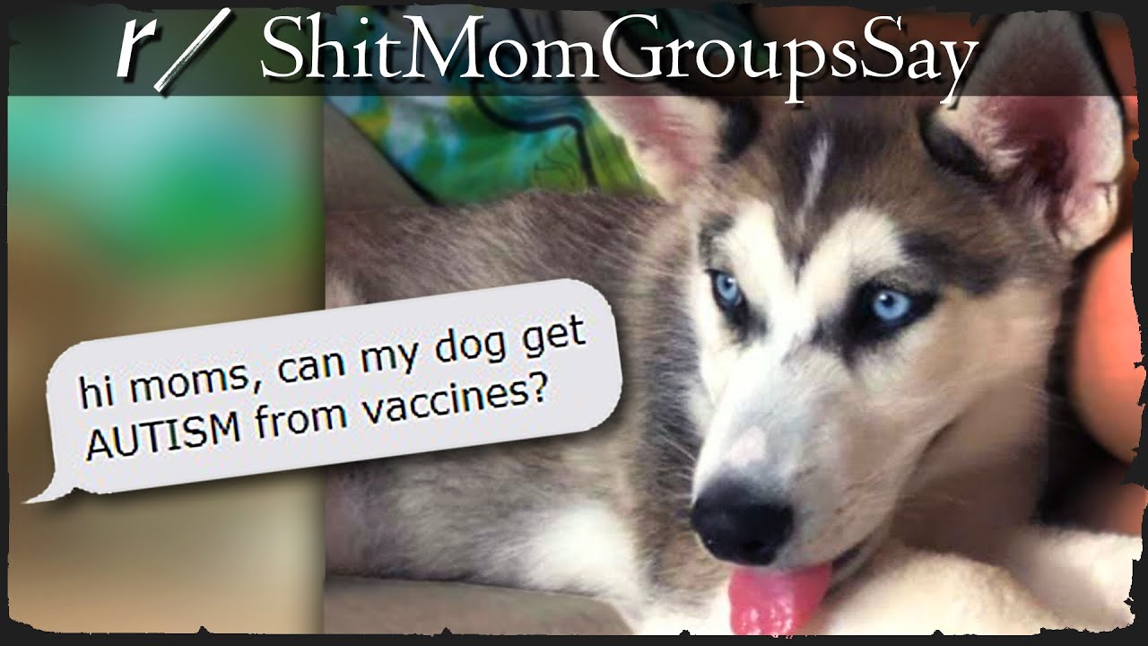 r/ShitMomGroupsSay - VACCINE = AUTISTIC DOG?
