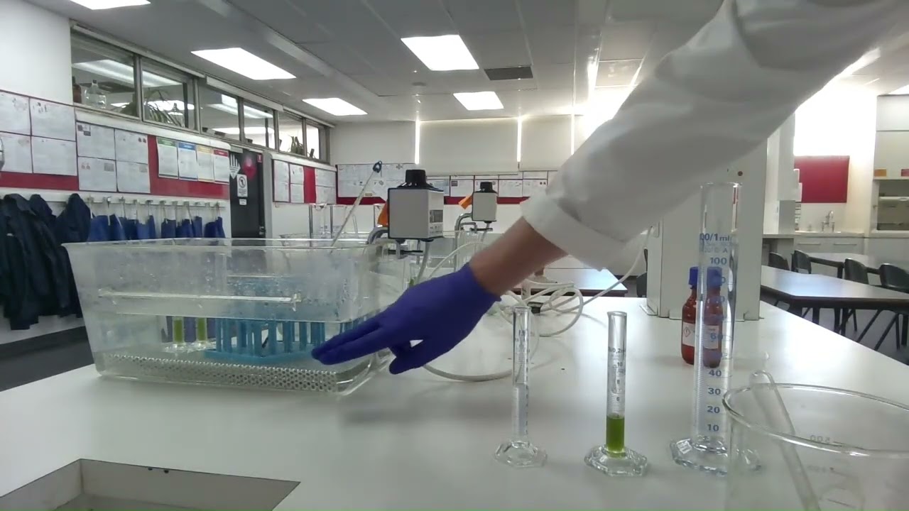 Catalase Practical Demonstration 1