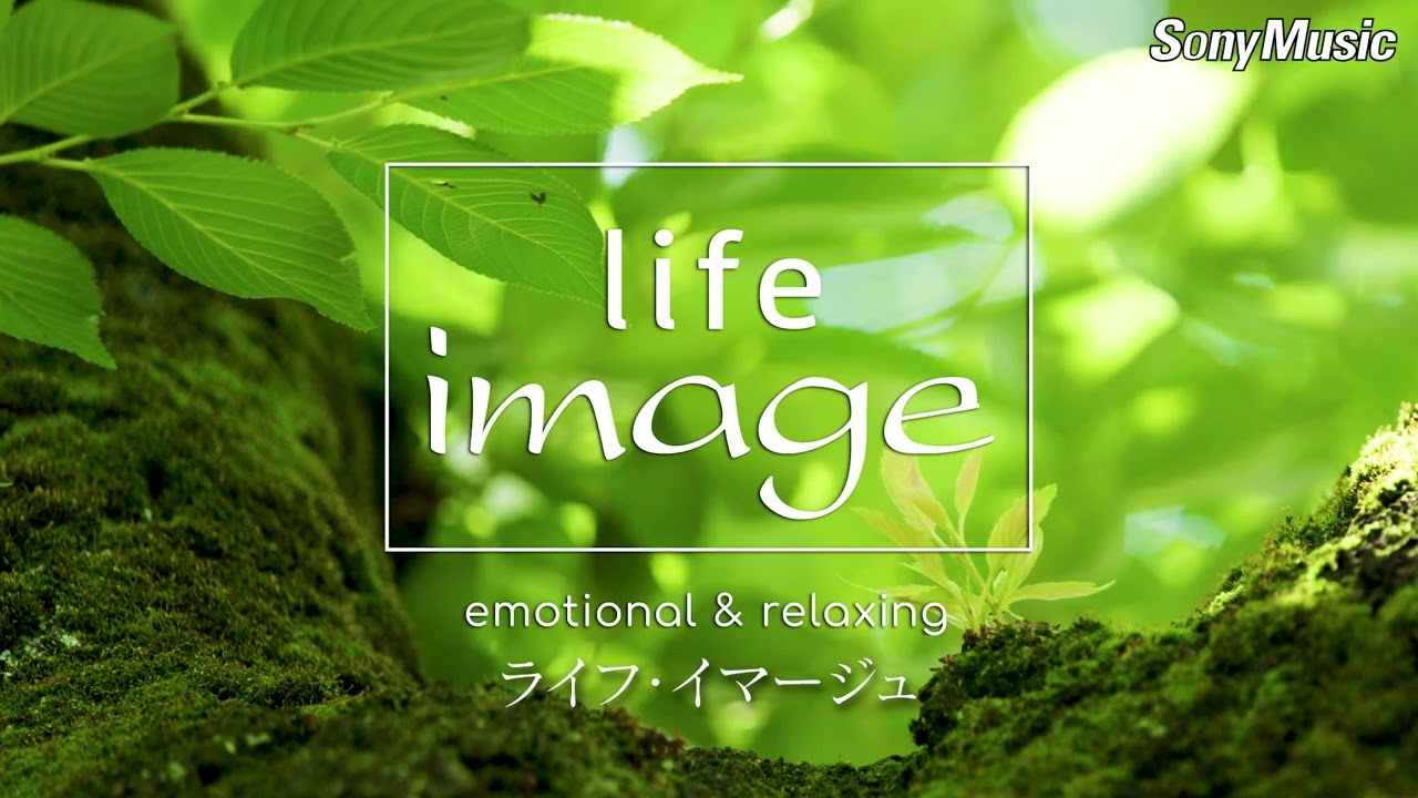 life image | ソニーミュージックオフィシャルサイト