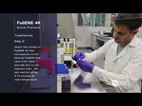 FuGENE 4K Protocol Video. DNA Transfection.