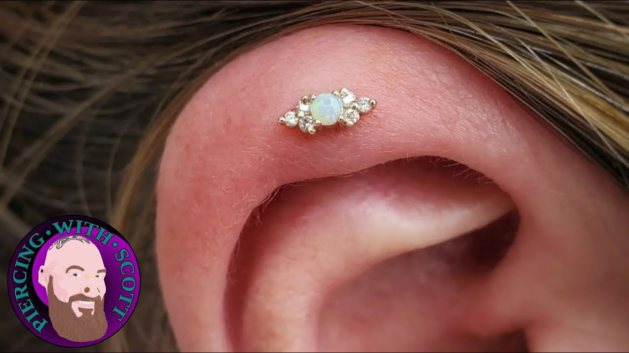 The Whole Truth - Cat Flap Piercing