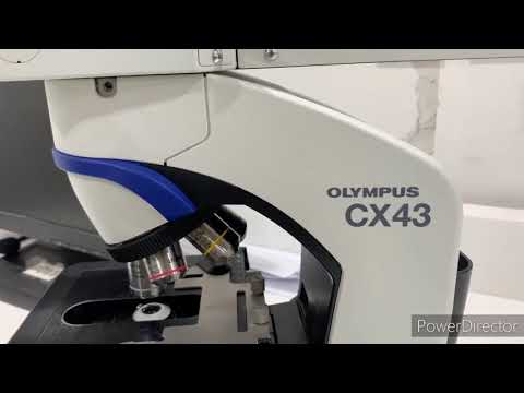 Olympus Laboratory Microscope - Latest Price, Dealers & Retailers in India