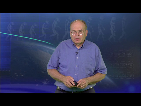 The Fossil Record and Evolution