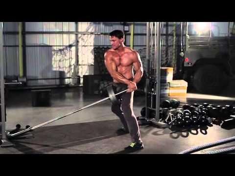 The 40 Best Ab Exercises Ranked