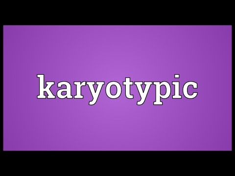 Karyotypic Meaning