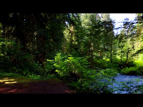 Limberlost Campground, OR | The Dyrt