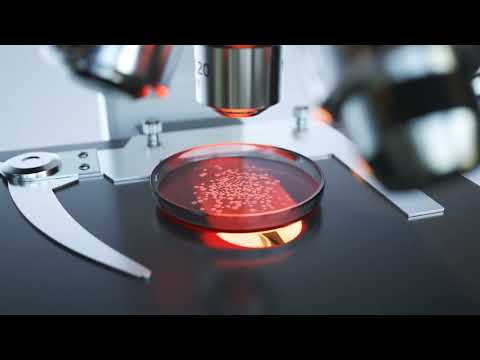 Discover Microbiology at Home–1000+ DIY Exper | Prelaunch.com