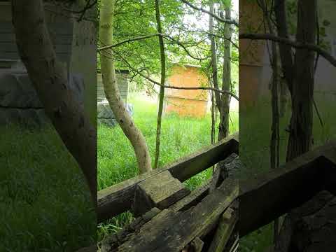 🔫 Airsoft Land Mine Cap Gun Cap Meteorite Grenade Compatible "Adder ...