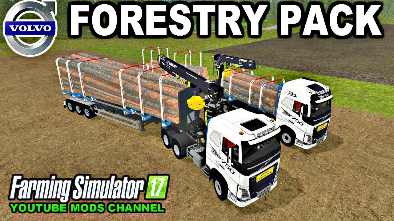VOLVO FH16 WOODPACK v 1.0 - FS 17