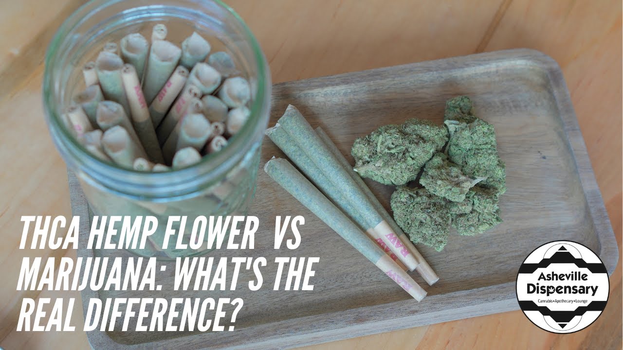 THCa Hemp Flower vs THC -- what's the difference?