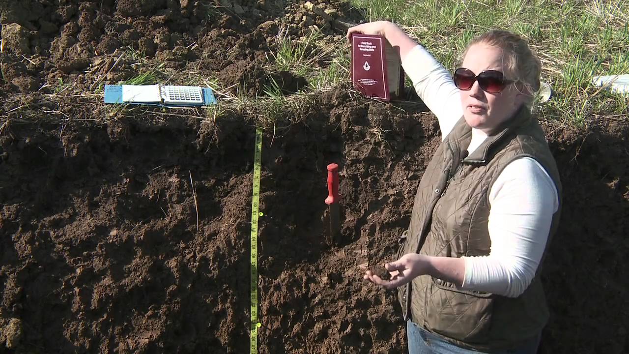 Soil Profiling: Structure