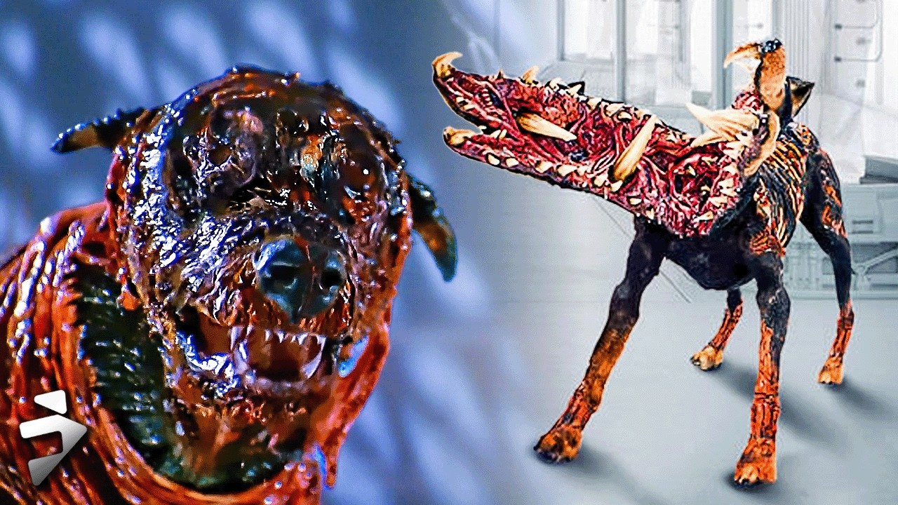 RESIDENT EVIL Zombie Dogs Attack | Cerberus Evolution