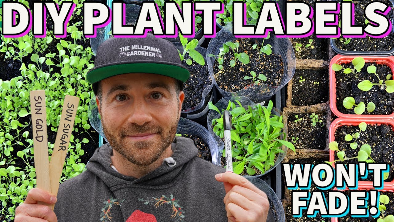 I Tested The BEST DIY Fade Resistant Plant Labels!