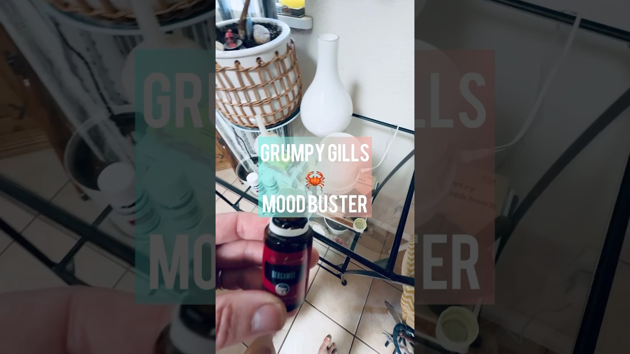 Grumpy Gills 🤬🦀 to a Ray of Fintastic Sunshine 🔆🐬 in 3-2-1