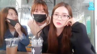 나인뮤지스) 길가다 갑자기 만나 V앱하는 아이돌 - 인스티즈(instiz) 예인영상 (종료) 카테고리