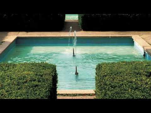 Ducks Unlimited Share Gleaming Spires – Austin Town Hall