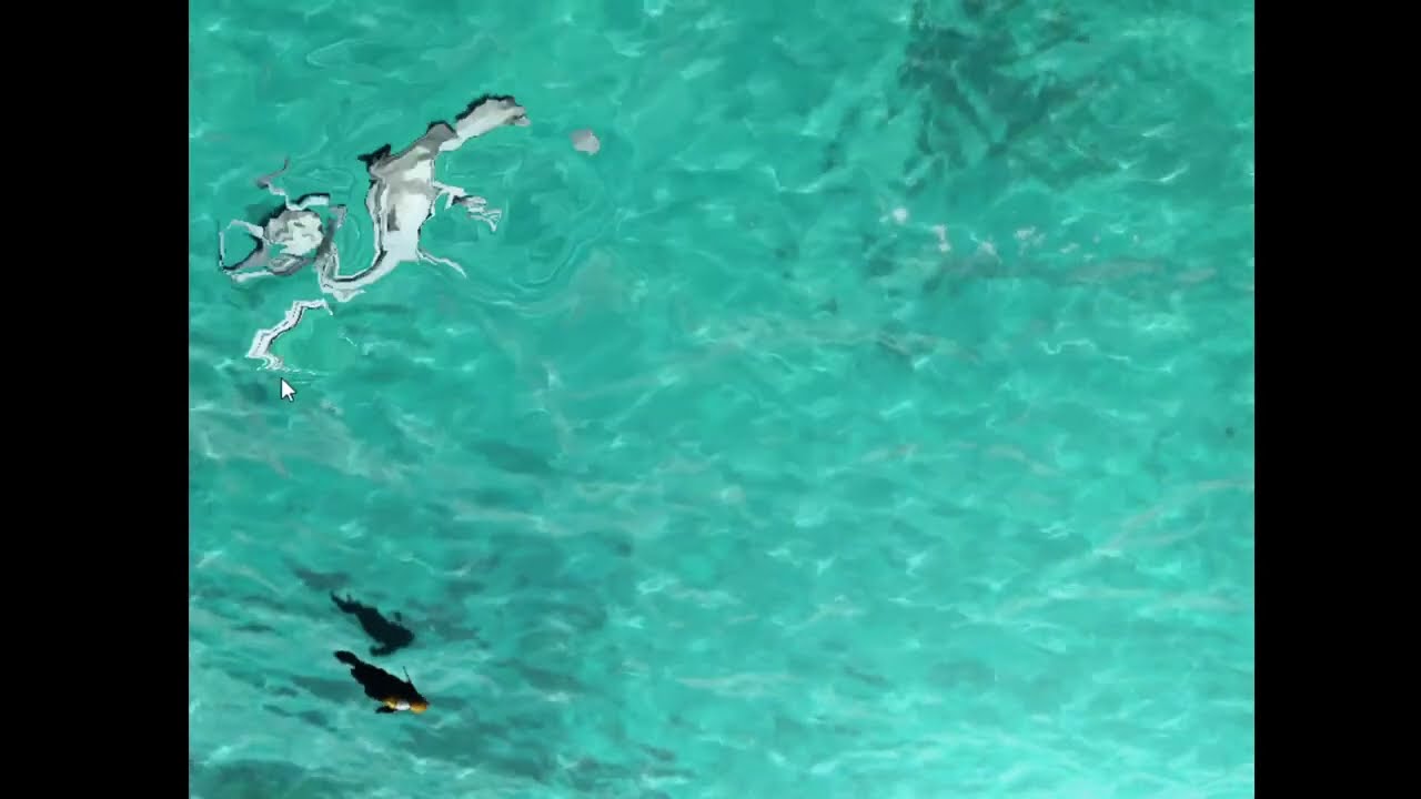 Taustamängud | Õppelabor STE - õppevahendid Lasteaiast ülikoolini