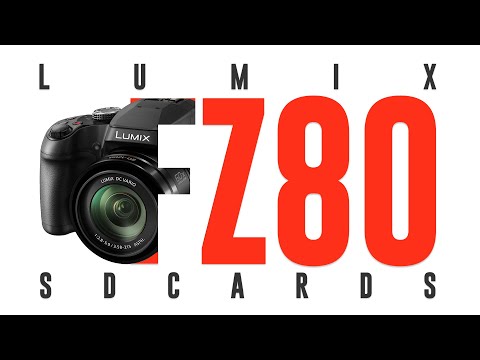 SD Cards Explained For Your LUMIX FZ80 Digital Camera.