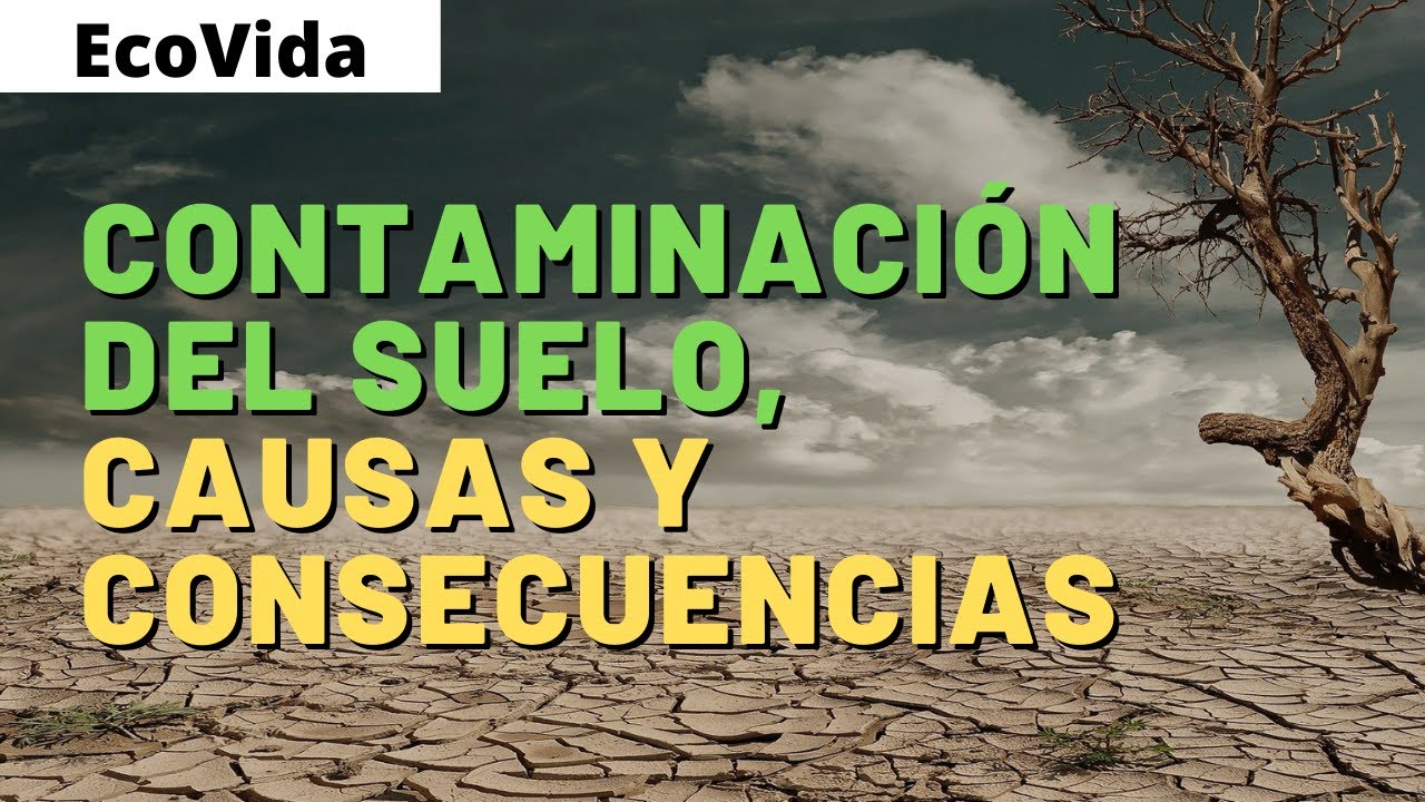 SOIL POLLUTION ✅ (CAUSES, CONSEQUENCES and SOLUTIONS)