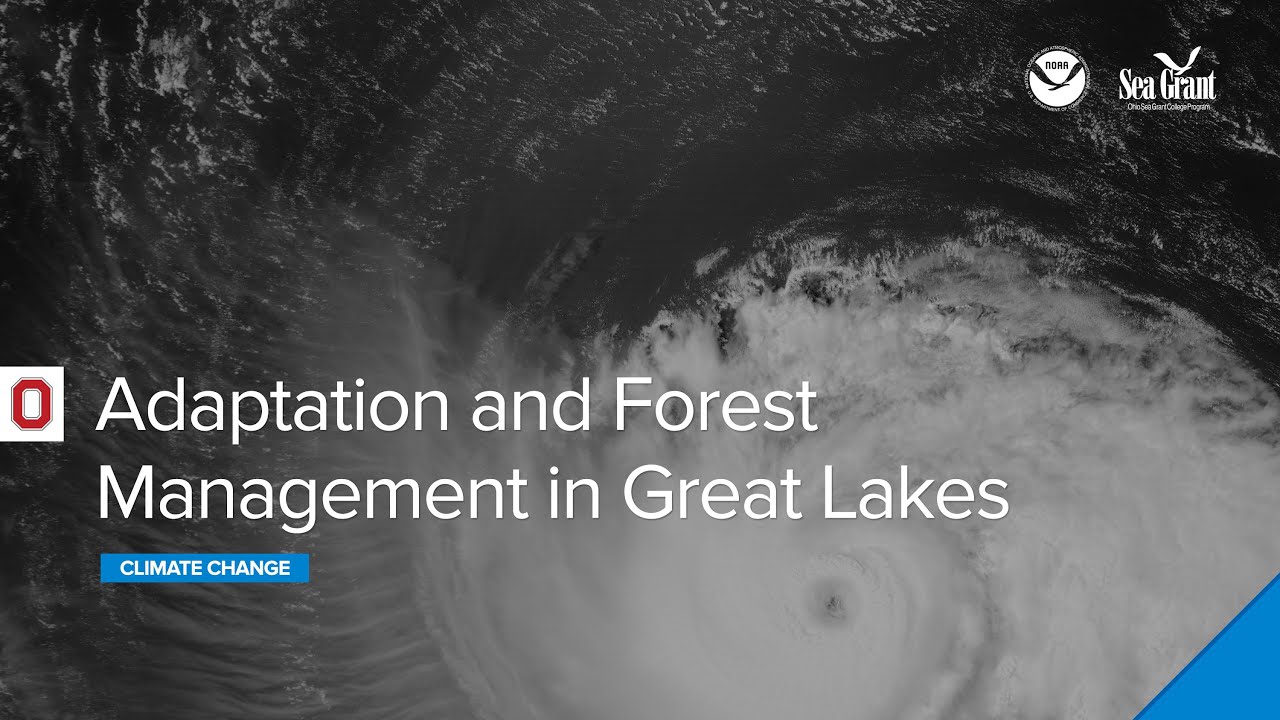 Climate Webinar: Adaptation and forest management in Great Lakes forests