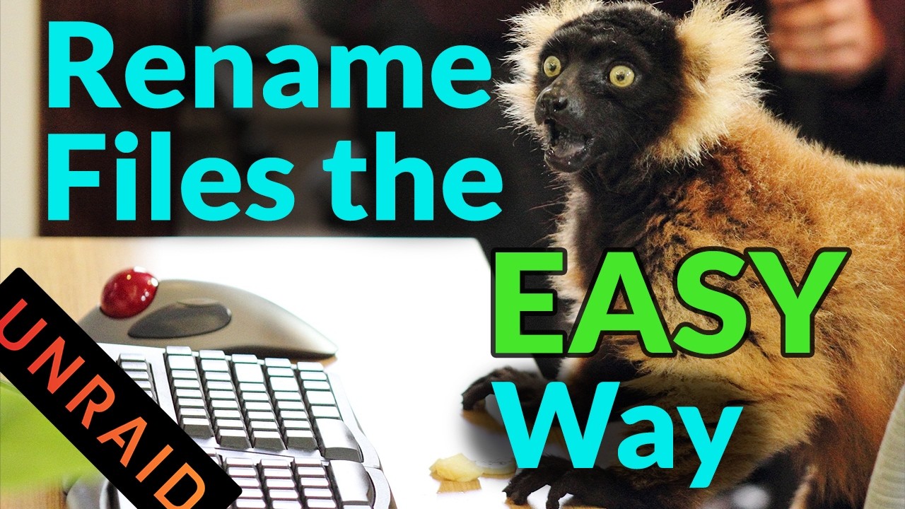 Stop Manual Renaming! FileBot on Unraid Will Save You HOURS