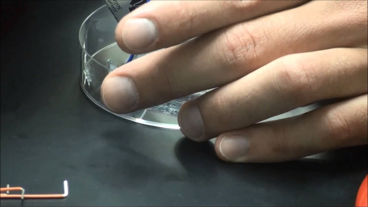 BioE 498 Day 1, Lab 1