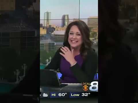 News Reporter Can't stop Laughin at "TITTER"