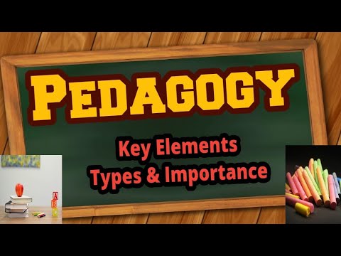 What is Pedagogy? | Meaning, Types, and Importance in Education