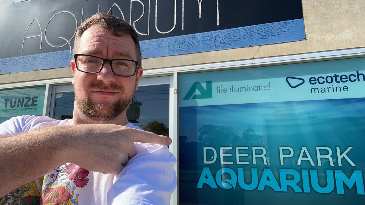 Reef Shop Tour Live!