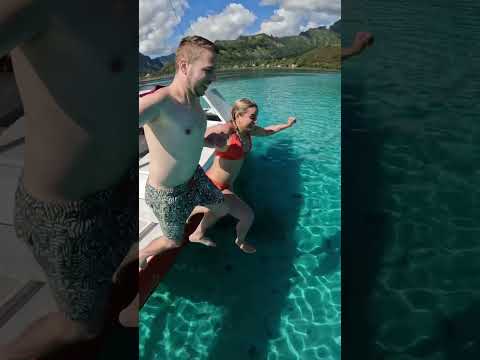 MUST DO in Moorea! 🌴🔥 #moorea #frenchpolynesia #borabora #bungalow