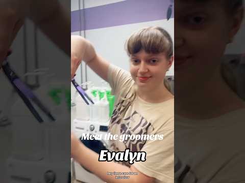 Meet the Groomers: Evalyn #dog #groomer #groomersoftiktok