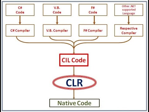 Common Language Runtime(CLR) in C#