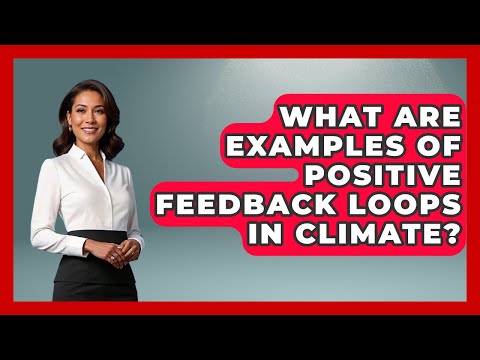 What Are Examples Of Positive Feedback Loops In Climate? - Weather Watchdog