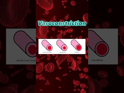 VASOCONSTRICTION | MEDICAL DEFINITION VOCABULARY TERMINOLOGY - Expand your work vocabulary