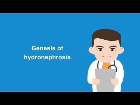 How to diagnose hydronephrosis with the help of ultrasound