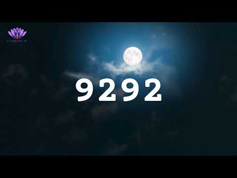 Angel Numbers (9292 Meaning)