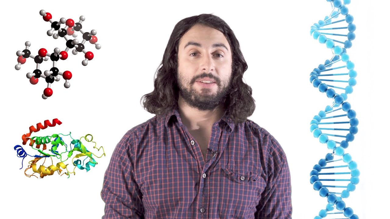 Carbon: The Element of Life